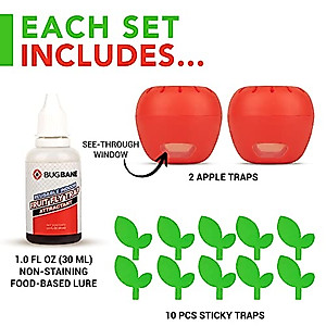 Fruit Fly Traps for Indoors, Gnat Traps for House Indoor, 2 Apple Pack. Fruit Fly Killer Trap. Kitchen and Indoor House Plants Fungus Gnat Traps with 10 Sticky Indoor Fly Traps and 1 Oz Liquid Bait.