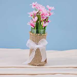 Hapeper 1 Inch Sheer Organza Chiffon Ribbon, 50 Yards/ Roll (White)