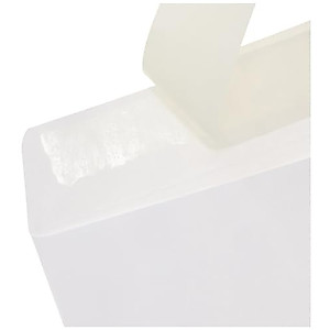 Amazon Basics Catalog Mailing Envelopes, Peel and Seal, 9x12 Inch, White, 250-Pack