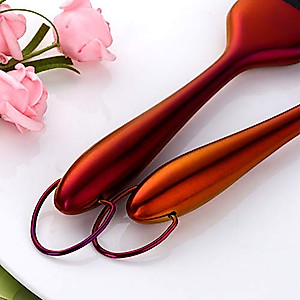 2 Pack Grill Basting Brush with 2 Pack Back Up Silicone Brush Heads, No Shed Bristles Stainless Steel Handles Heatproof Rust Resistant, Pastry Brushes for Kitchen Cooking BBQ, Dishwasher Safe Orange