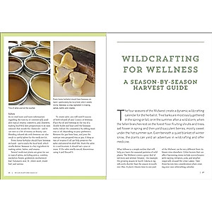 Midwest Medicinal Plants: Identify, Harvest, and Use 109 Wild Herbs for Health and Wellness (Medicinal Plants Series)