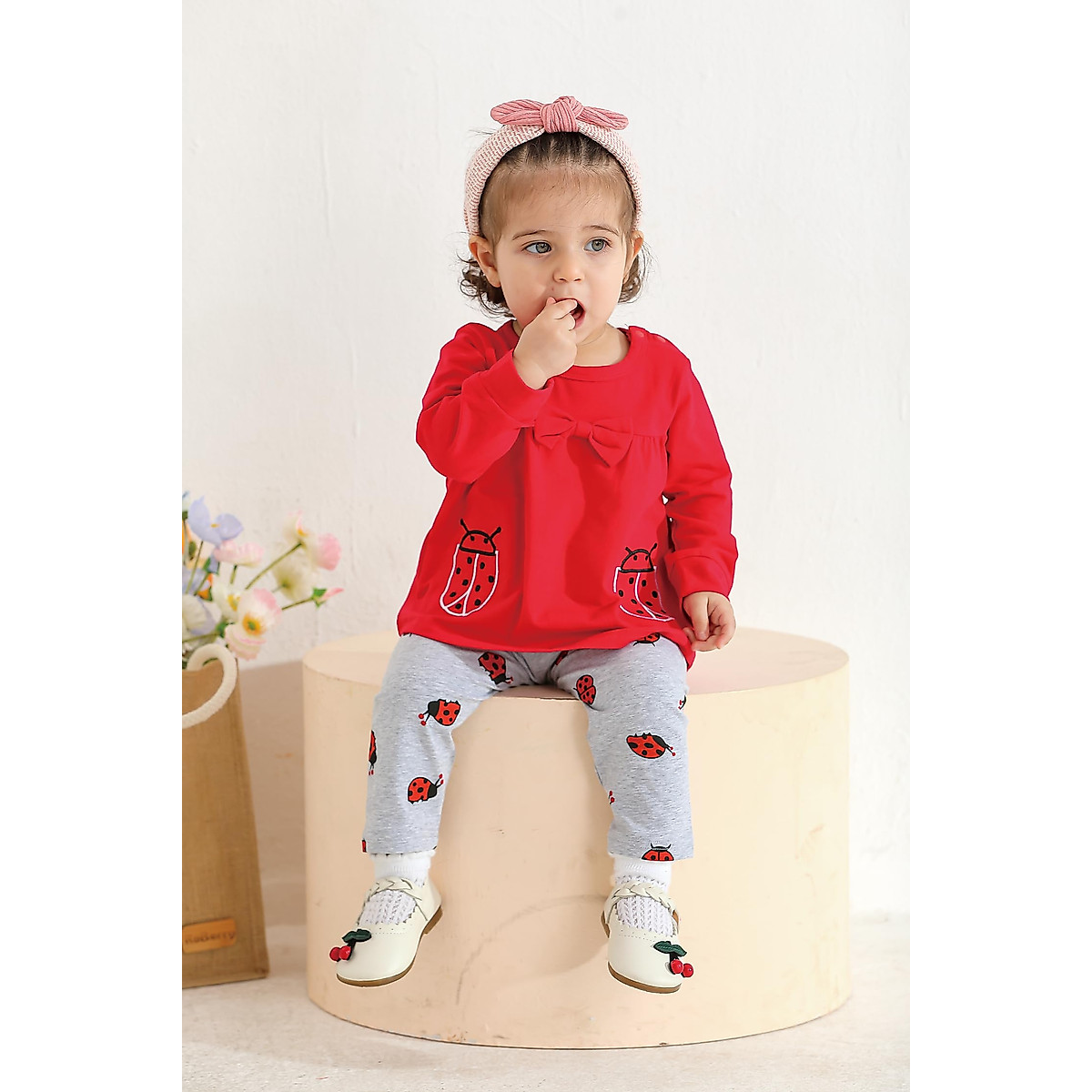 Eghunooy Baby Girls Clothes Set 2 Piece Long Sleeve Ladybug Pattern Infant Outfits (18-24 Months) Red