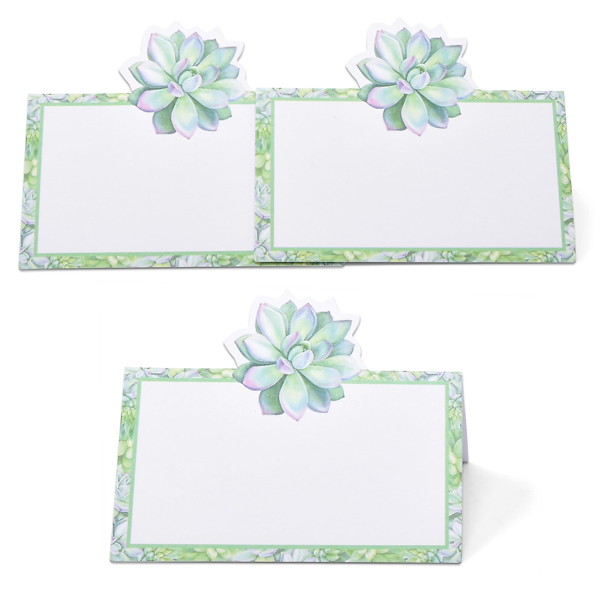 100 Succulent Place Cards Cactus Floral Green Leaves Succulents Name Card Wedding Table Setting Folded Tent Cards for Baby Shower Dinner 2" x 3.5"