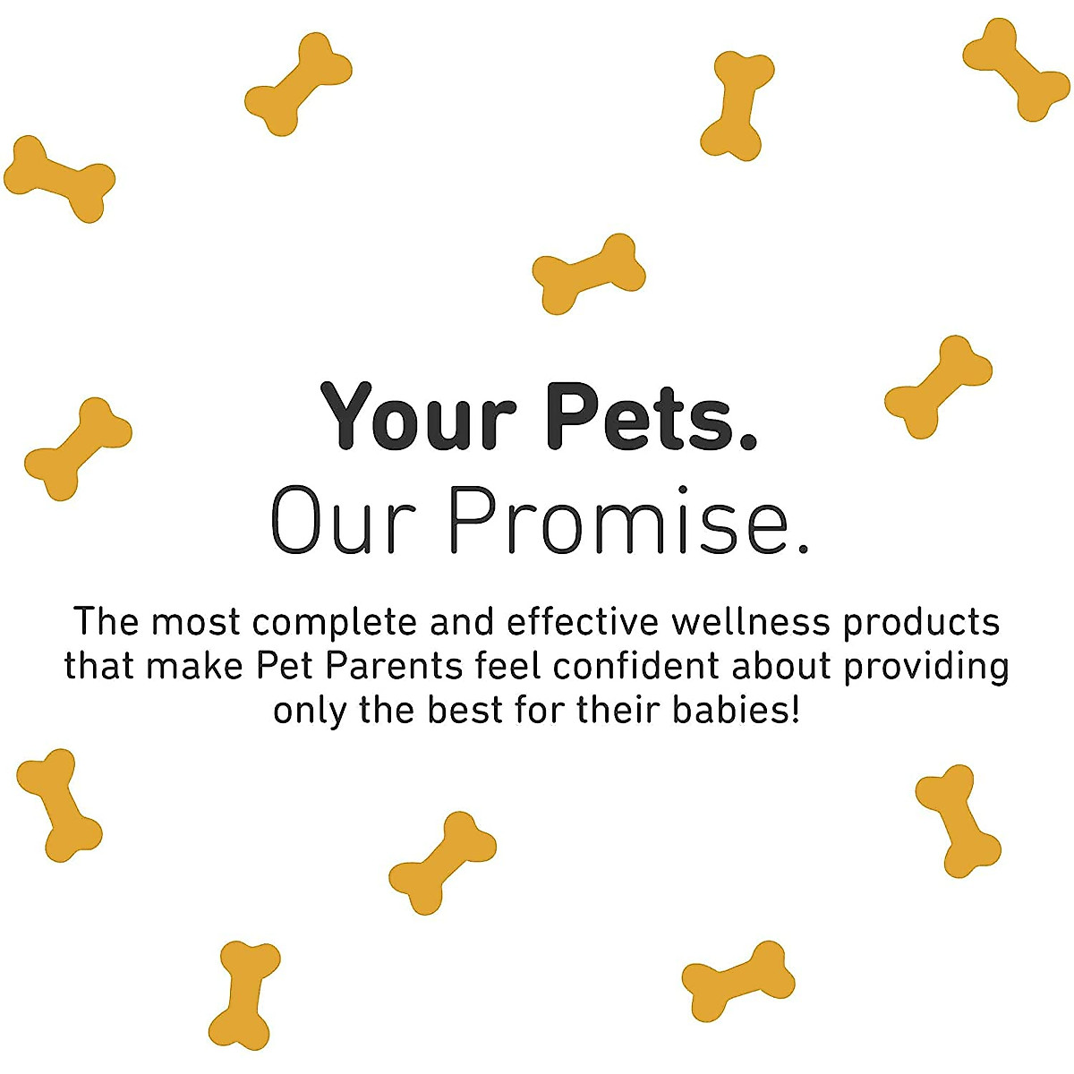 International Veterinary Sciences IVS Arthramine MAX Healthy Joints Glucosamine Supplement for Dogs with Fish Oil, Hyaluronic Acid, MSM, and Vitamin C, Made in the USA, 60 Count