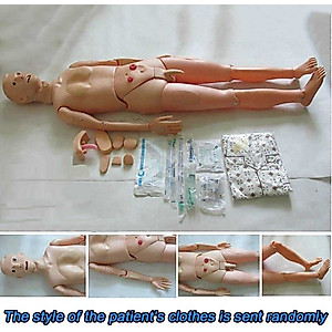 Nursing Training Manikin, Demonstration Human Manikin for Nursing Training, Training CPR Simulator, 170 cm Male & Female PVC Anatomical Mannequin, Body Care Simulator Model