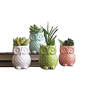 First of a Kind Owl Shaped Vases (Set of 4) - Ceramic Owl Succulent Planter Pots - Owls Gifts for Women - Owl Decor Vase - Farmhouse Stoneware Vases for Home Decor & Garden Gift