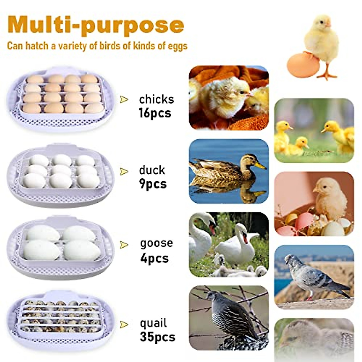 16 Eggs Incubators for Hatching Eggs with Temperature Control, Egg Candle Automatic Egg Turner Poultry Incubators for Hatching Chickens, Ducks, Quails