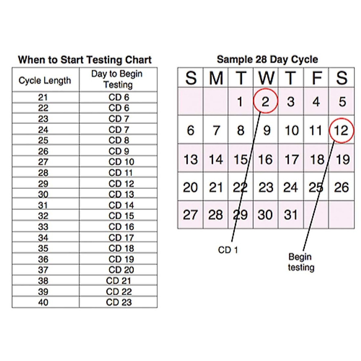at-Home Early Pregnancy Test Kit | Early Detection 3 Tests Included - Accurate & Easy Response Results
