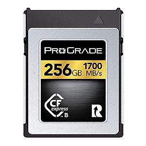 ProGrade Digital Memory Card - CFexpress Type B for Cameras | Optimized for Express Transfer of Files & Large Storage | 256 GB Gold Series
