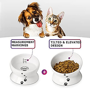 Y YHY Cat Food Bowls, Elevated Tilted for Food and Water, 2 Raised Cat Bowls Set with Tick Marks, for Flat-Faced Cats and Small Dogs - 12/16 OZ Ceramic