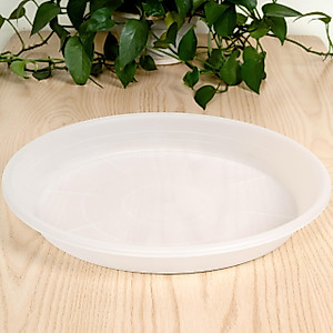 SAUCERHOME 5 Packs Plant Saucer Pot Tray 6 8 10 12 14 16 19 20 Inch Plastic Flower Planter Saucers and Drip Trays for Indoors Outdoors, Heavy Durable Plant Plate Water Catcher (6 Inch Clear)