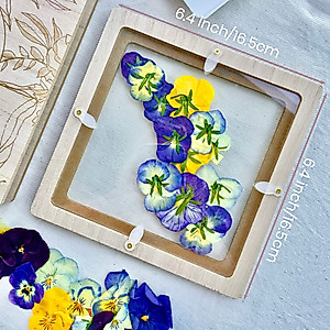 Petal Co Wooden Flower Press 7inch x 7inch with Frame for pressed flowers and leaves including Ultimate Guide to Flower Pressing