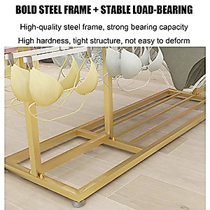 Clothes Retail Heavy Duty Metal Hanging Garment Racks, Clothing Store Metal Hanger Storage Shelves Double Sided Display Stand, Underwear/Bra/Swimsuit/Sock Organizer Shelf, Jewelry Holder