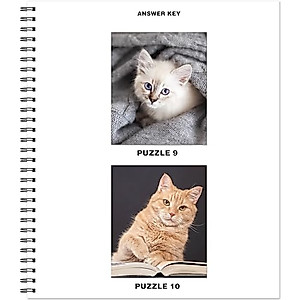 Brain Games - Sticker by Number: Cats & Kittens (Easy - Square Stickers): Create Beautiful Art With Easy to Use Sticker Fun!