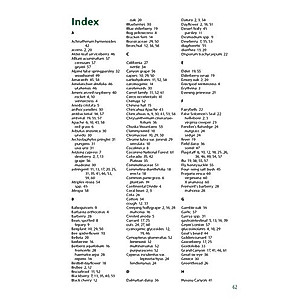 Wild Edible Plants of Arizona