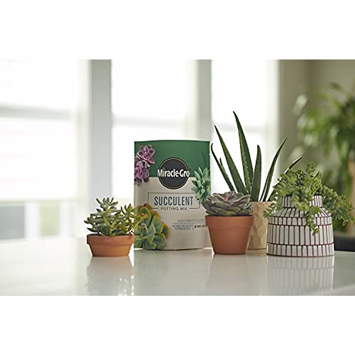 Miracle-Gro Succulent Potting Mix - Fertilized Soil with Premium Nutrition for Indoor Succulents, 4 qt. (2-Pack)