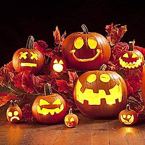 PRUGNA Halloween Pumpkin Carving Kit, 10Pcs Professional Heavy Duty Stainless Steel Tools with Carrying Case