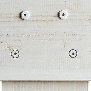 Plank+Beam Rustic Wood Queen Bed Frame, Platform Bed with Headboard, Solid, White Wash