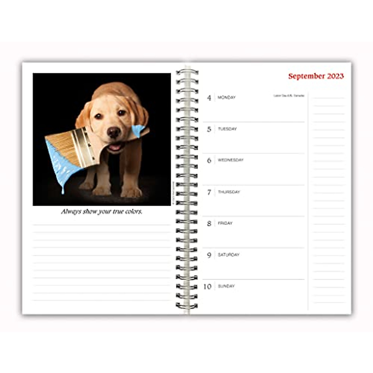 Dogma 2024 Weekly & Monthly Planner — A Dog's Guide to Life, 16-Month Engagement Calendar: September 2023 - December 2024, 6" x 9"