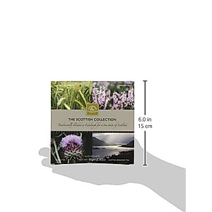 Edinburgh Tea & Coffee Company, The Scottish Collection 4-Flavor Variety Pack, 40-Count Tea Sachets