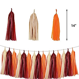 Gankbite Burgundy Pumpkin Fall 1st Birthday Party Girl One Cake Smash Burlap Banner Paper Tassel Balloon Fall Birthday Decorations