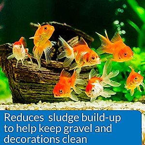 Aquarium Pharmaceuticals Goldfish Start Up Pack