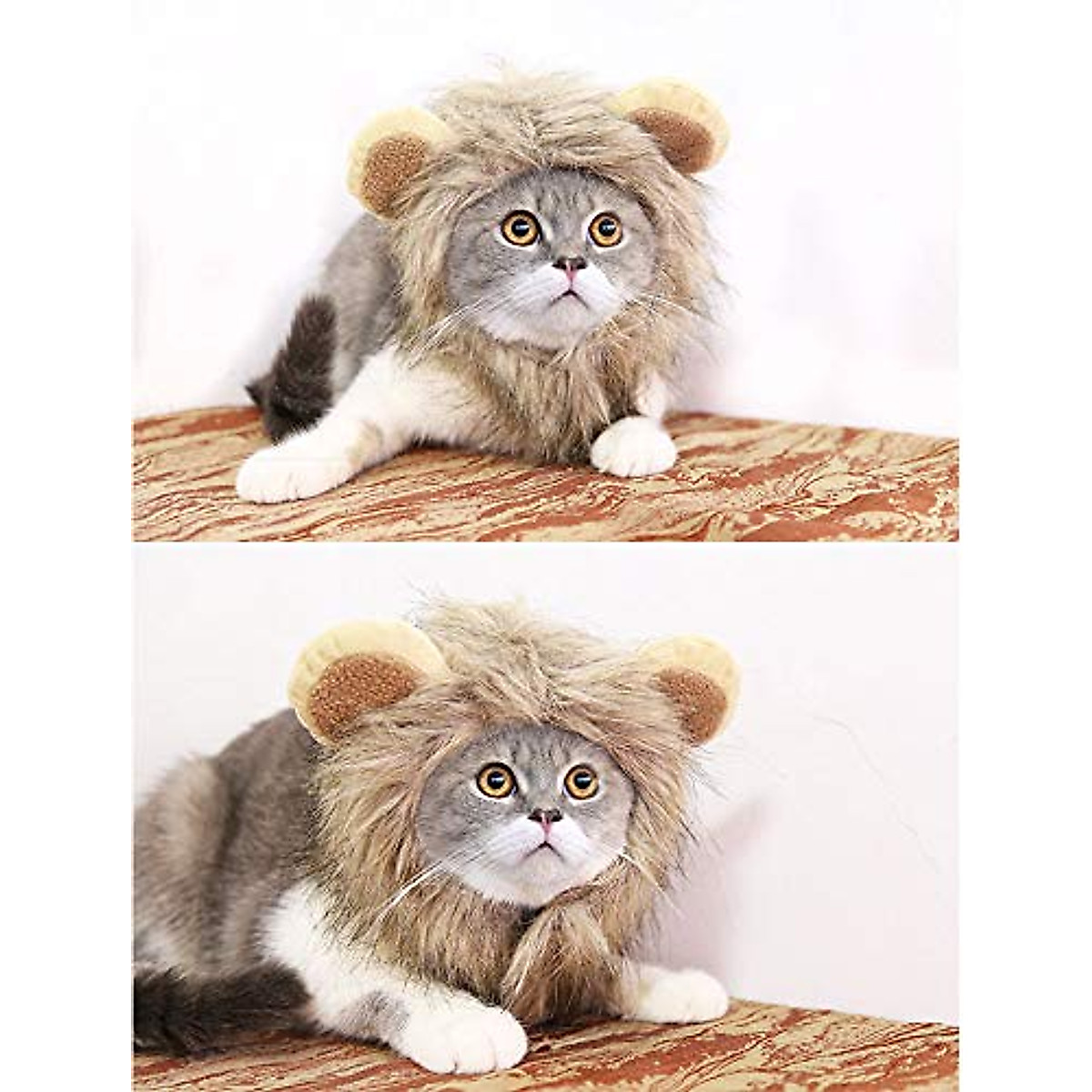 M Joy Decor Lion Mane Costume Wig for Cats & Small Dogs, Fancy Cat Lion Cosplay Hat in Halloween Xmas Clothes Dress with Ears (Large(Neck 15"))