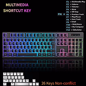 Wireless RGB Gaming Keyboard and Mouse - Rechargeable RGB Backlit Keyboard Mouse Long Battery Life,Mechanical Feel Gaming Keyboard with 7 Color Wireless Gaming Mouse for PC Game and Work