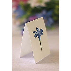 Freshcut Paper Pop Up Cards, Lillies & Lupines, 12 inch Life Sized Forever Flower Bouquet 3D Popup Greeting Cards with Note Card and Envelope