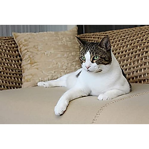 Moda West Case of 24 Wholesale Super Lightweight Throw Bulk Soft Fleece Throw Blankets 50 X 60 with Assorted Colors 140 GSM