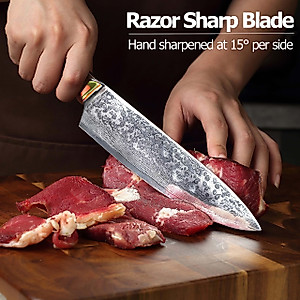 PAUDIN Damascus Chef Knife, 8 Inch Kitchen Knife, Japanese 67-layer VG-10 Stainless Steel Sharp Knife, Professional Chefs Knife with Ergonomic G10 Handle, for Home Kitchen and Restaurant