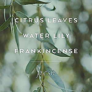 TOKYOMILK Star Cross’d Eau de Parfum, 1 fl. oz, 29.5 ml – Citron Leaves, Water Lily, Frankincense & Vetiver – A Transcendently Moody Essence, Women’s Perfume, Eau de Parfum Spray for Women