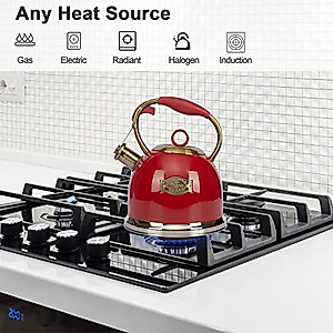 Tea Kettle, Stovetop Whistling Teapot, Stainless Steel, Black, 3.0-Quart