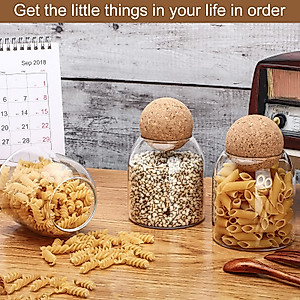 3 Pcs Cork Glass Jar Glass Bottle Sealed Jar Nut Storage Jar Coffee Bean Jar Glass Container with Ball Cork Round Glass Bottles with Cork Glass Canisters with Airtight Seal Wooden Lid (500 ML/ 17 Oz)