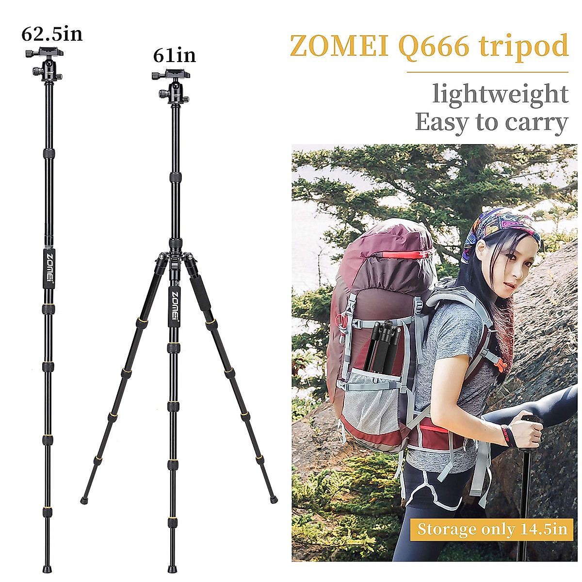 ZOMEI Aluminum Portable Tripod with Ball Head Heavy Duty Lightweight Professional Compact Travel for Nikon Canon Sony All DSLR and Digital Camera
