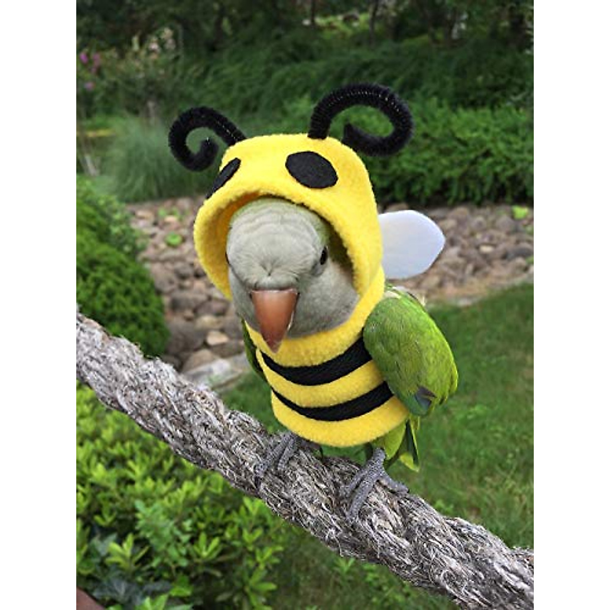 Parrot bird supplies, light flying clothes, warm and comfortable, tiger skin, green cheek parrot, little sun parrot, monk parrot, starling, mynah, Senegal parrot, mini macaw, Keck parrot, etc. (2M)