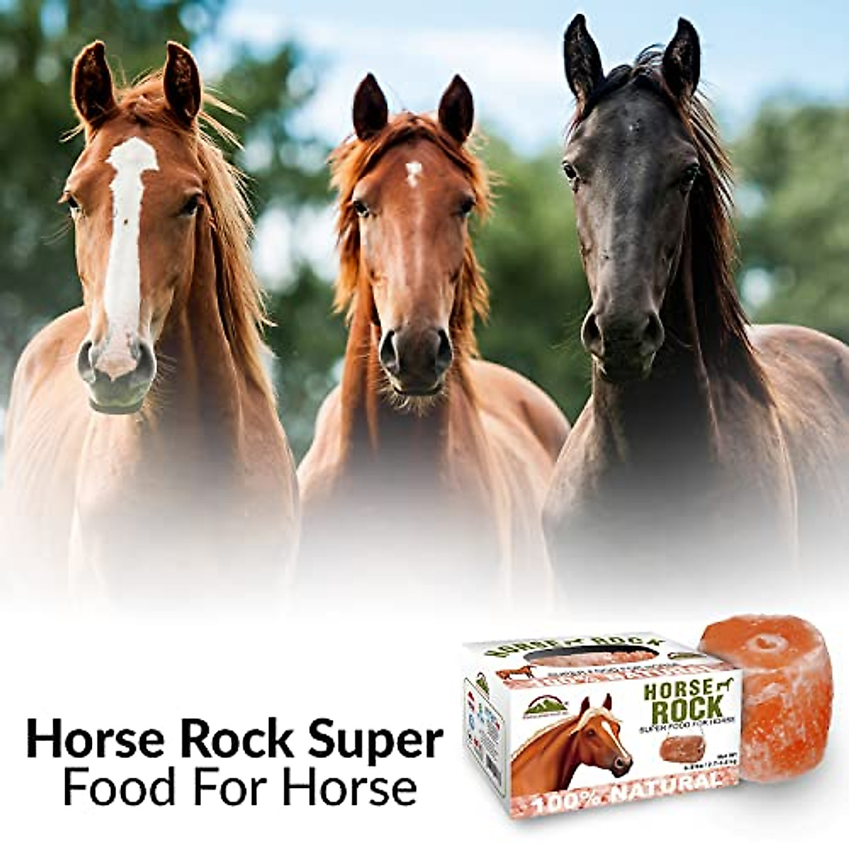 Himalayan Nature Horse Rock Salt, Animal Lick Salt - 8lbs, Elk