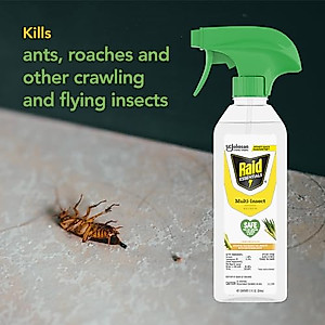 Raid Essentials Multi-Insect Killer Spray Bottle, Child and Pet Safe, for Indoor Use, Lemongrass Scent, 12 fl oz