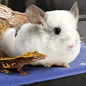 POPETPOP Small Animal Heating Pad Pet Electric Blanket Waterproof Constant Temperature Heating Pad USB Plug