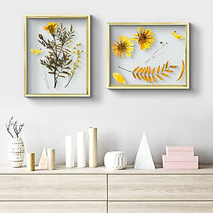 Frametory, Floating Picture Frame 11x14 - Gold Aluminum Metal Photo Frame - Real Glass of Front - for Wall Mount Displays