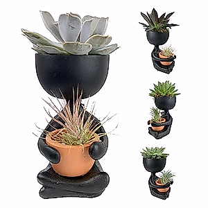 Zen Harmony Planter - Live Plants in a Decorative Pot - Cactus | Succulent | Air Plant - A Symbol of Serenity and Natural Beauty