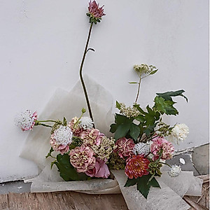 BBJ WRAPS Korean Wrapping Paper Gift Flower Wrapping Cotton Waterproof Bouquet Packaging Tissue Paper Florist Supplies 15 Sheets, 22.8 x 22.8 Inch (Champagne)