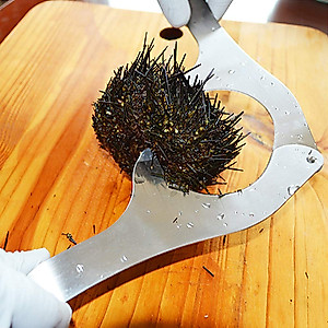 Sea Urchin Cutter-Stainless Steel Sea Urchin Cutter Opener Multifunctional Seafood Tool