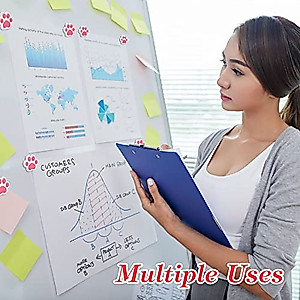 Rae&kae Fridge Magnet- 10 Pcs Cute Soft Rubber Small Magnets- Decorative Refrigerator Magnets - Classroom Locker Magnets for Girls and Boys - Animal Magnets for Refrigerator-Educational Magnetic Toys