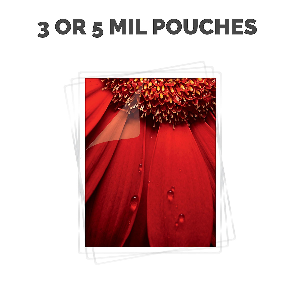 Fellowes Saturn 3i 125 Thermal Laminator Machine with Self-Adhesive Laminating Pouch Starter Kit, 12.5 inch