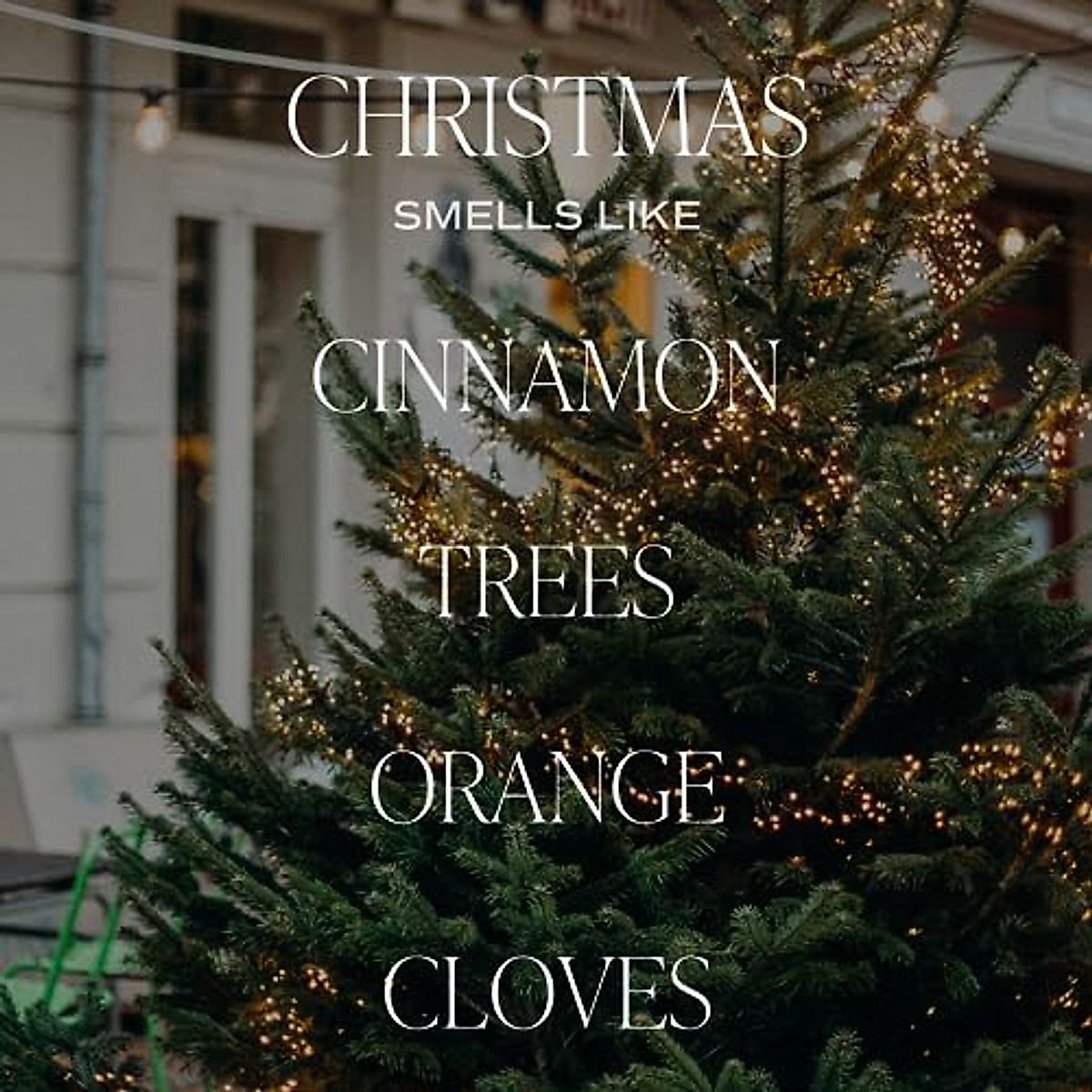 Sweet Water Decor Christmas Soy Candle | Apple Cider, Cinnamon, Fresh Cut Christmas Tree Scented Candles for Home | 9oz Clear Jar + Gold Lid, 40+ Hour Burn Time, Made in the USA