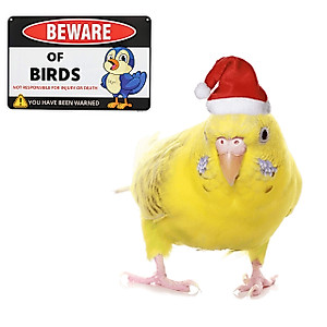 Venicor Bird Sign Decor - 8 x 12 Inches - Aluminum - Bird Gifts for Bird Lovers Women Owners - Bird Decorations for the Home Accessories Wall Art Stuff