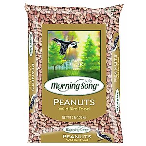 Morning Song 1022285 Peanuts Wild Bird Food Bag, 3-Pound (Discontinued by Manufacturer)