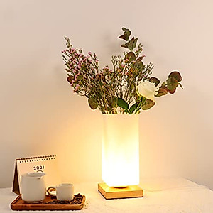 Floresita Vase Lamp Table Lamp USB Charge Flower Lamp Vase Table Lamp Dimmable Bedside Lamp Frosted Glass Shade with Wood Base for Bedroom Living Room Office Desk