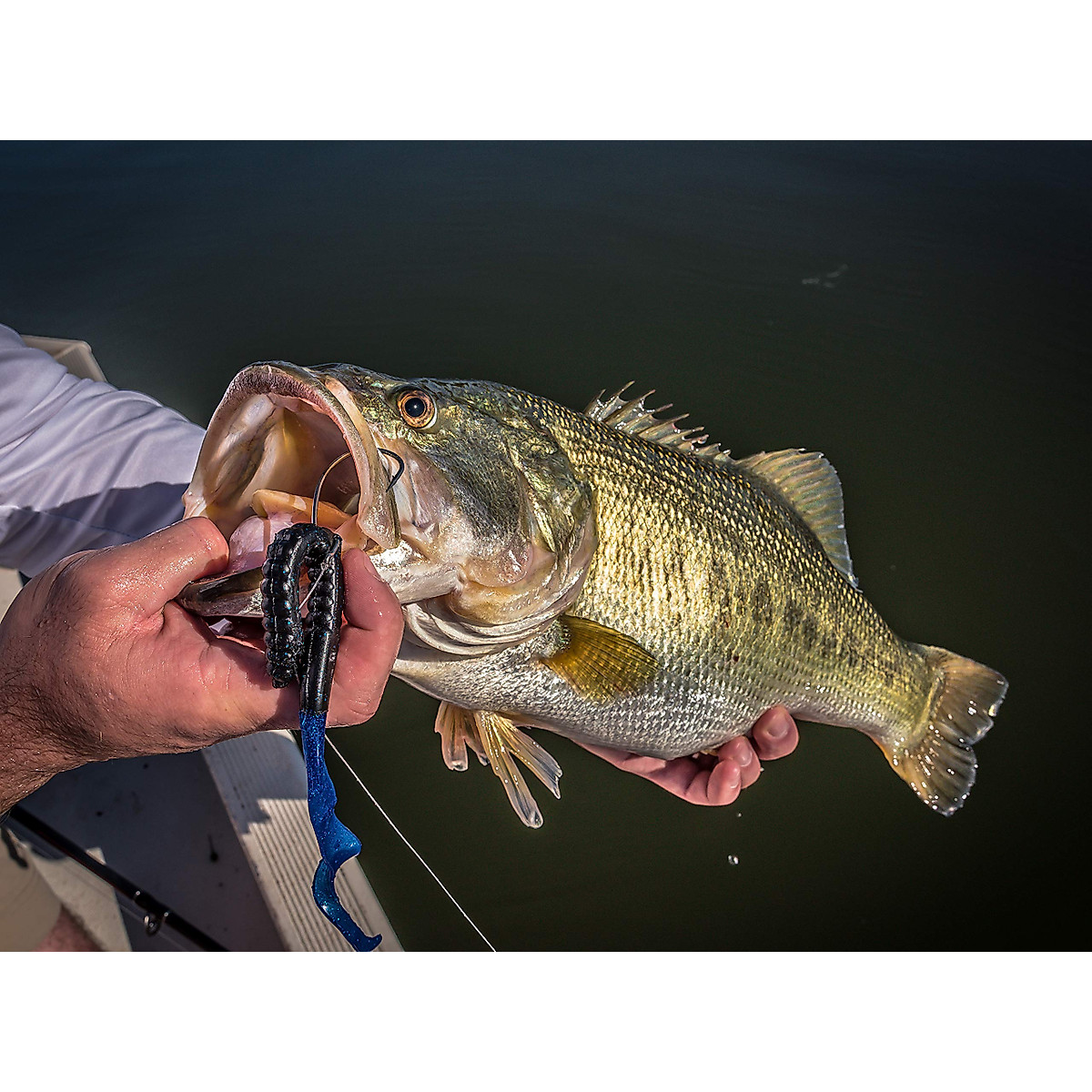 Berkley PowerBait® Power Worm Fishing Bait, Tequila Sunrise, 7in | 18cm, Irresistible Flavor, Classic Curly Tail Worm Profile, Ideal for Spring, Summer and Fall Fishing